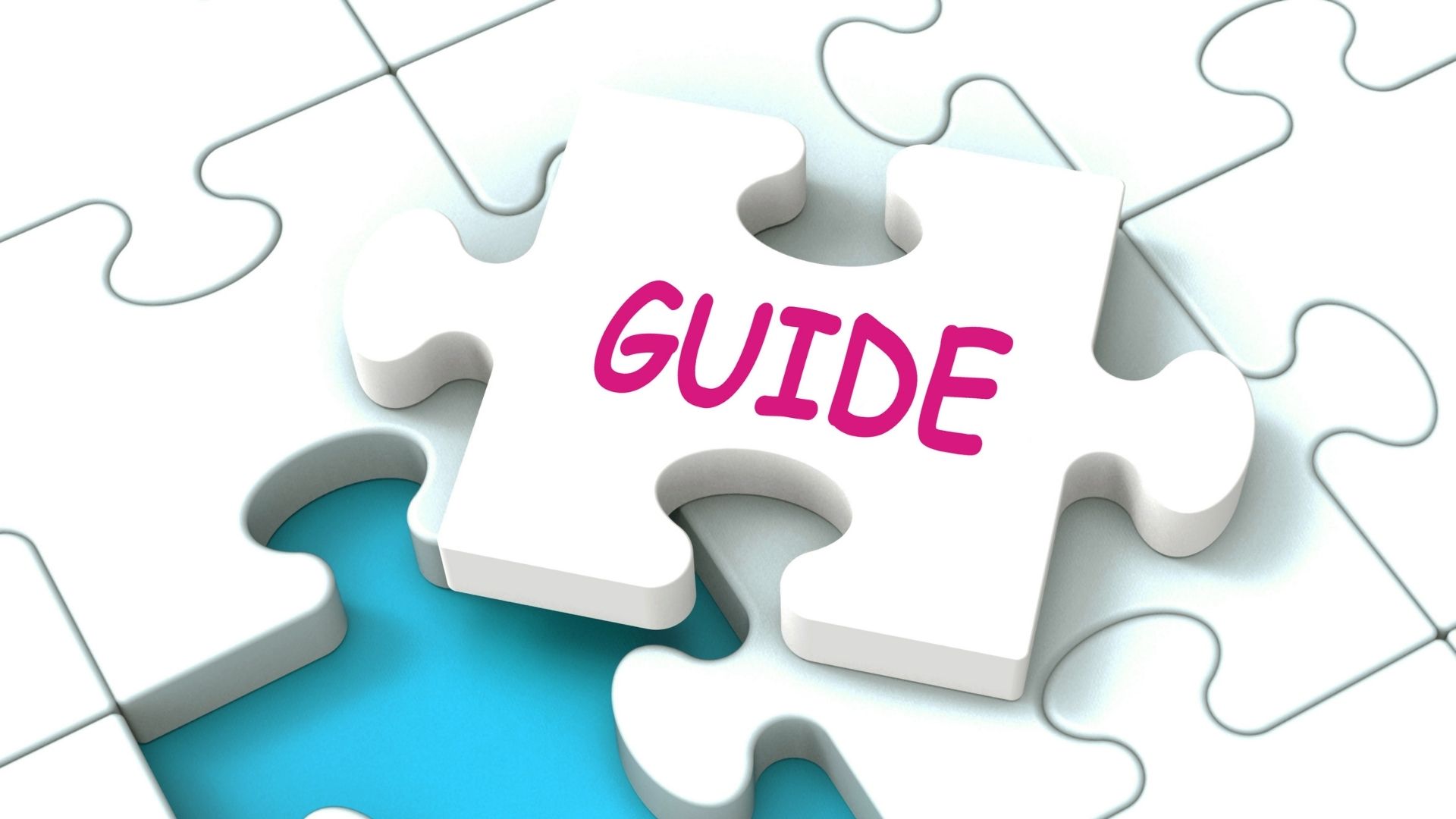 Wiseback Experience Guides