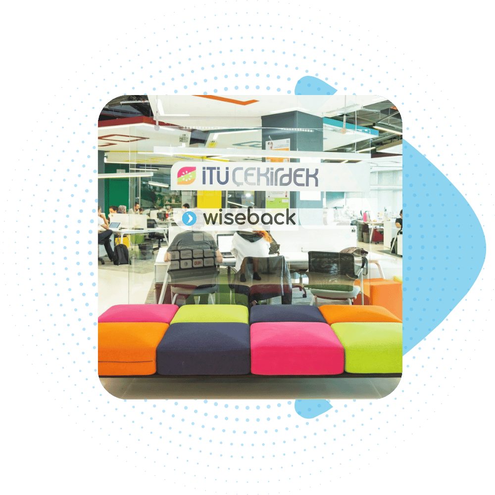 Wiseback - Hakkımızda